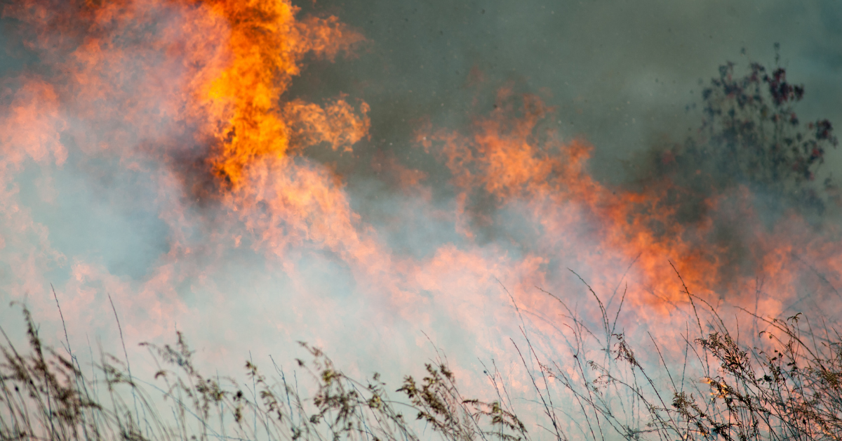 Message de solidarité à la région de Valparaiso, Chili, face à l ...